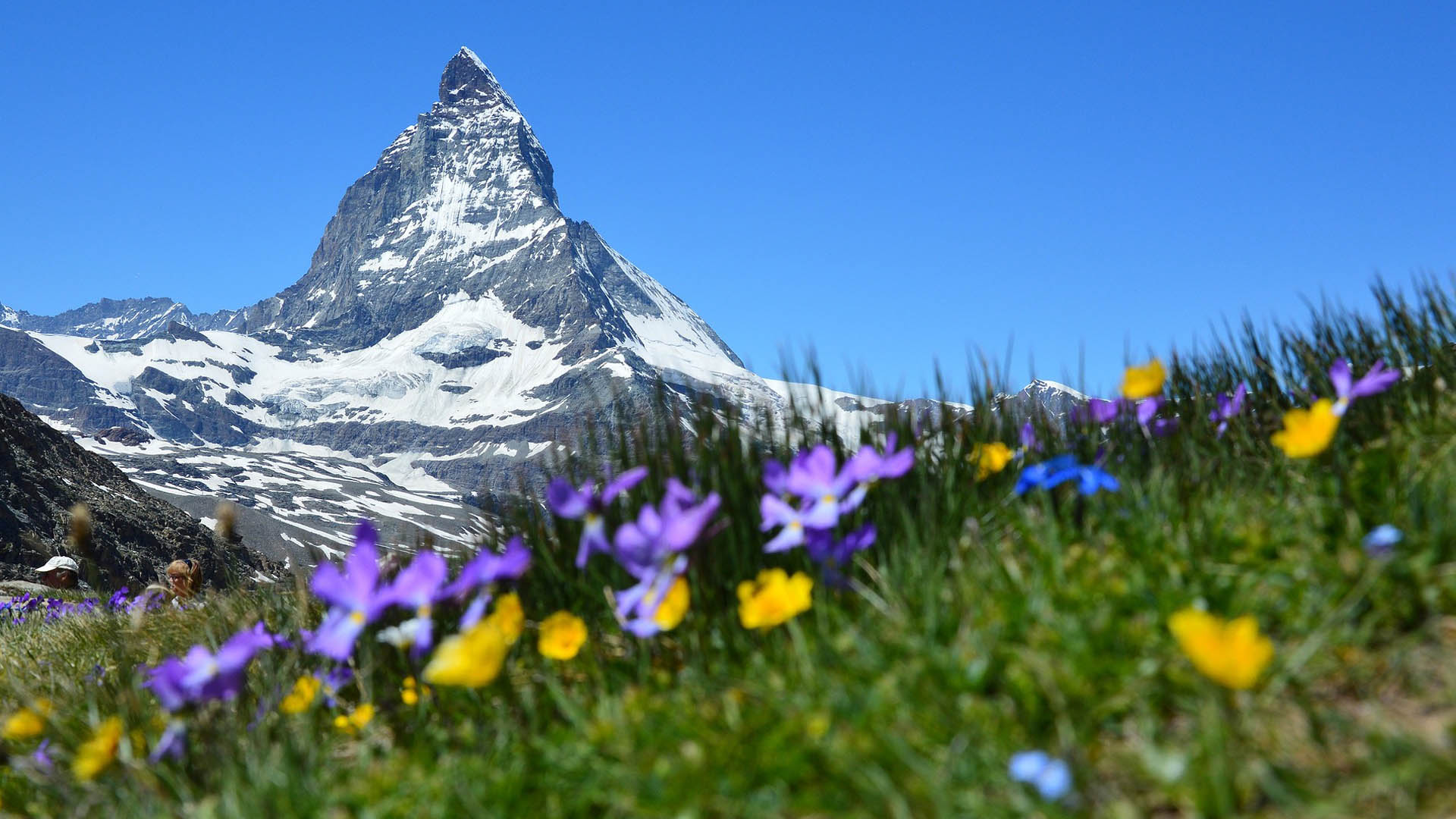 Wissenswertes über die Bergwelt der Schweiz - BERGWELT